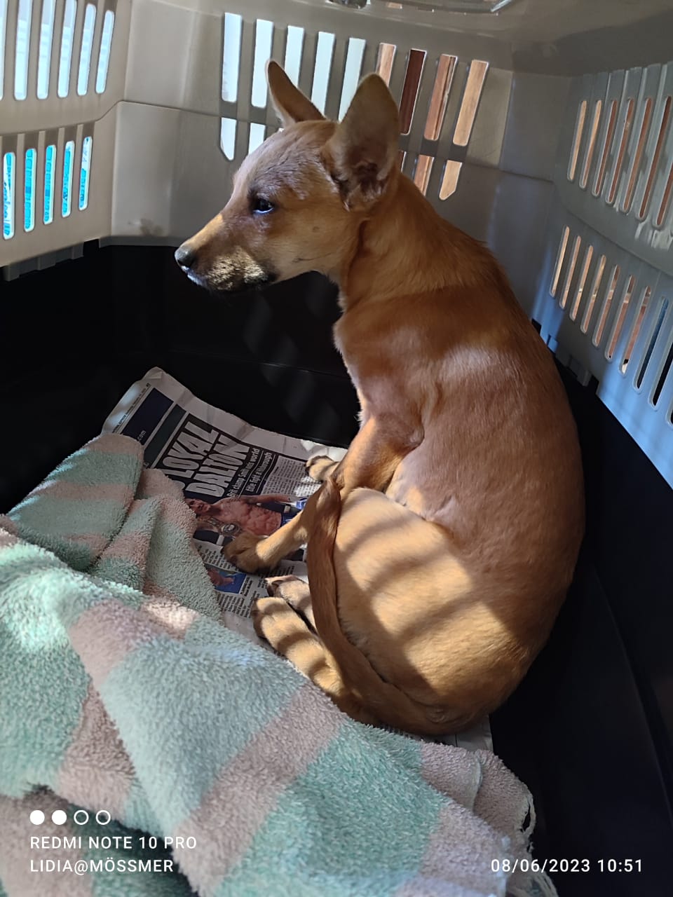 Heila - C. Mostert - SAVA CVC