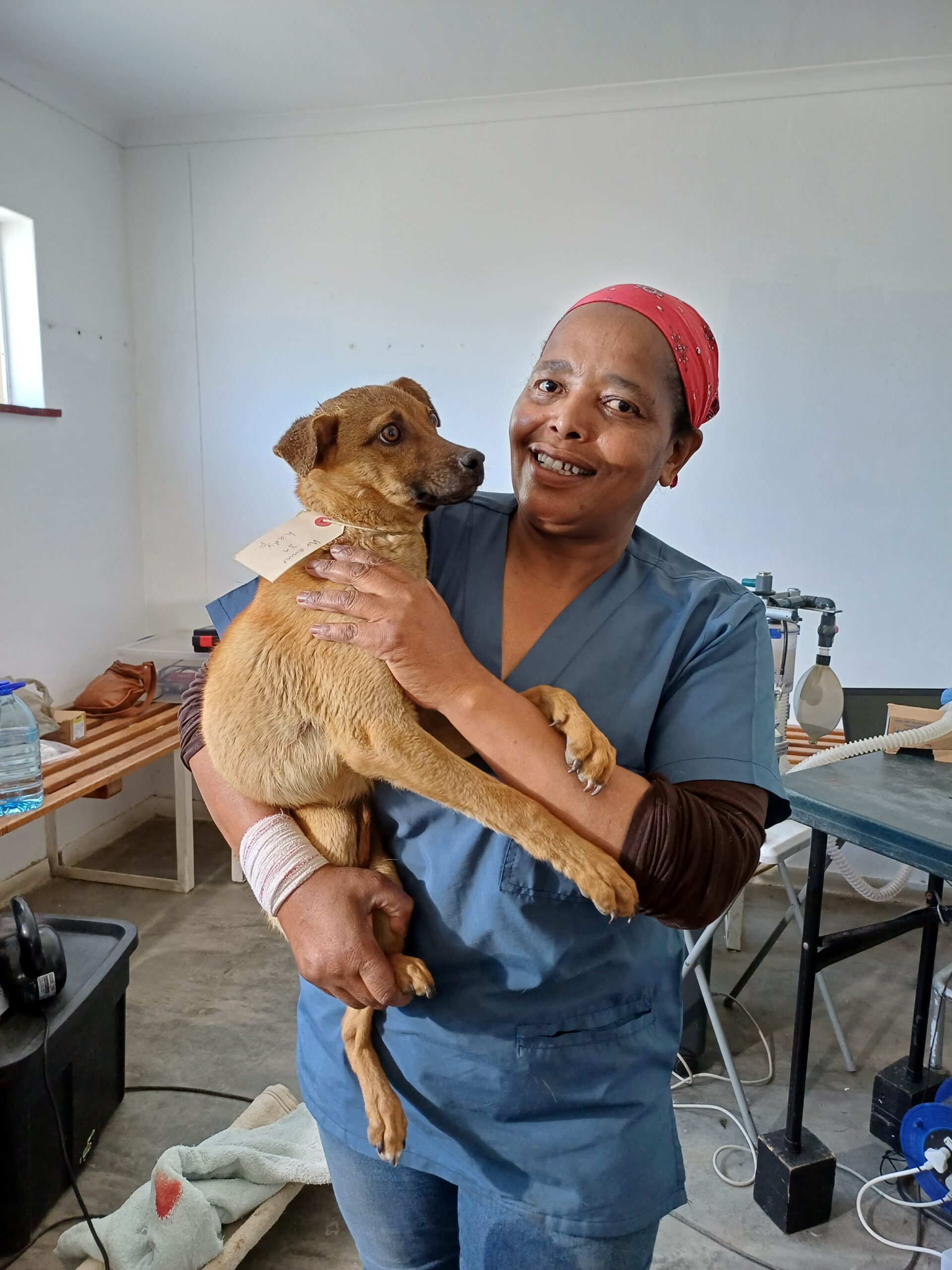 Lady - Anna September - SAVA CVC