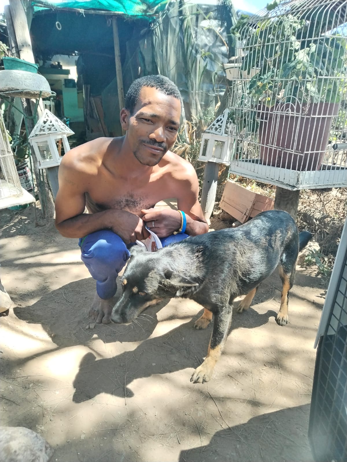 Milo - Ben Jooste - SAVA CVC