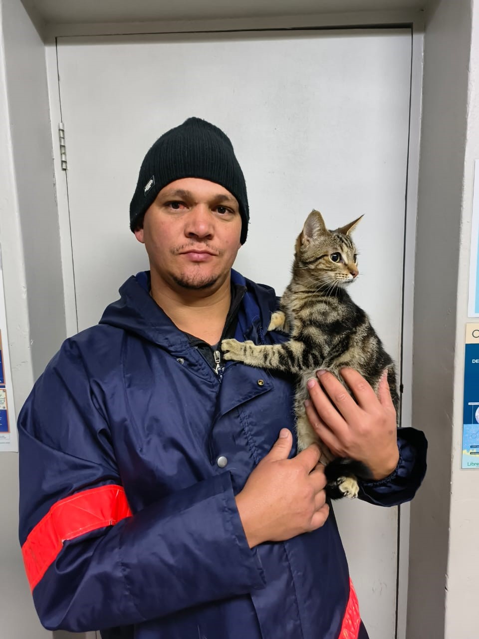 Pringle - Kleinmond Animal Welfare - SAVA CVC