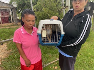 ANNA - DEAN and ESTHER - SAVA CVC