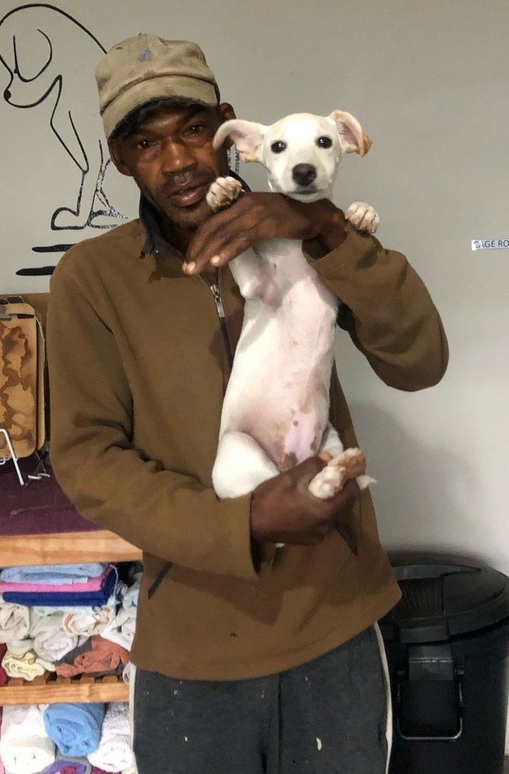 Layla - Abrie Valentine - SAVA CVC