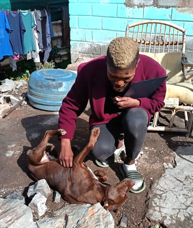 Soekies - Gerald Hoffman - SAVA CVC