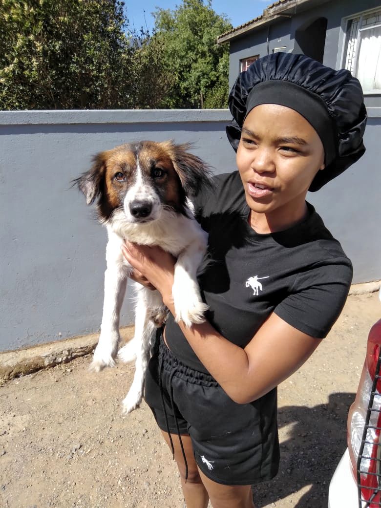 Toby - Daniel Fortuin - SAVA CVC